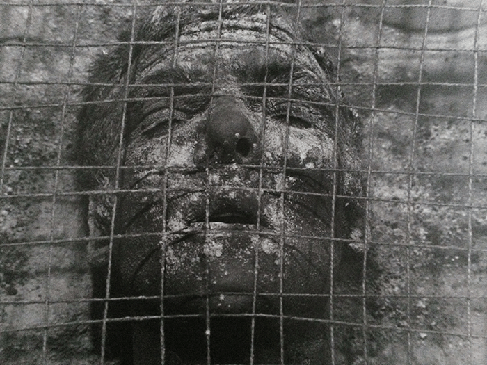 Nigel Rolfe – Galerie Polaris